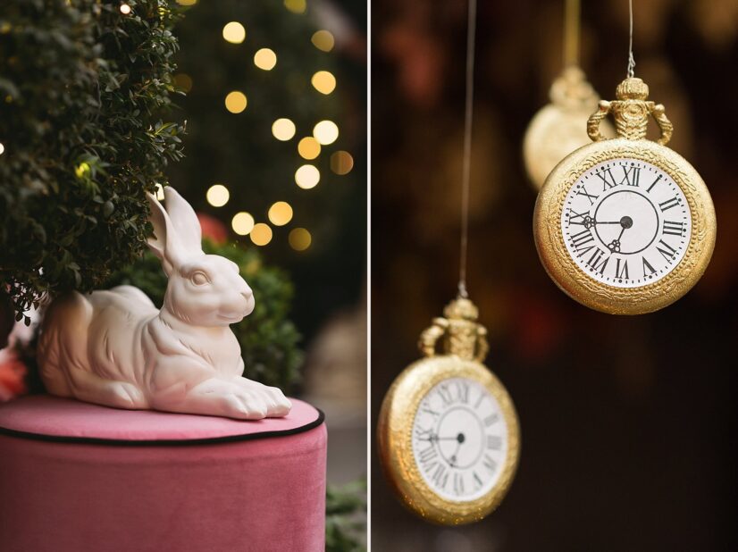 Alice in Wonderland Magic Luxury Setup