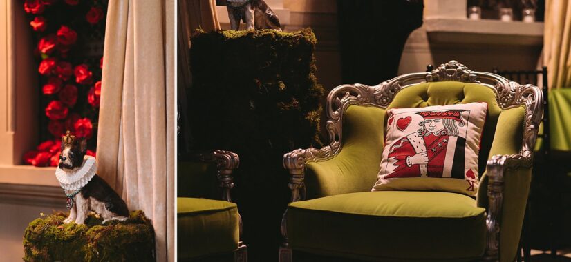 Alice in Wonderland Magic Luxury Setup